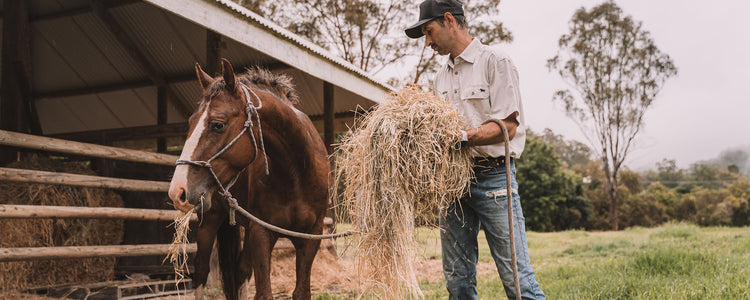 Australian Country & Western Clothing - Ringers Western